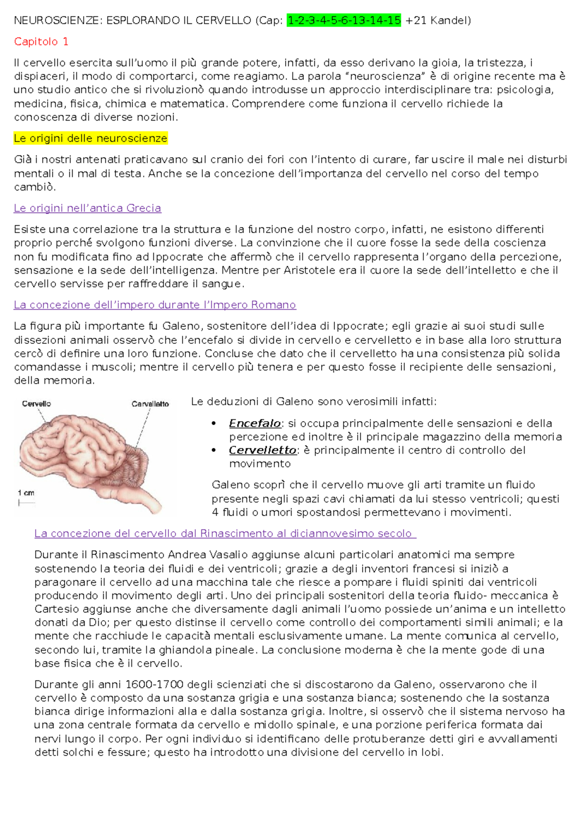 Riassunto neurofisiologia libro esplorando il cervello - NEUROSCIENZE ...