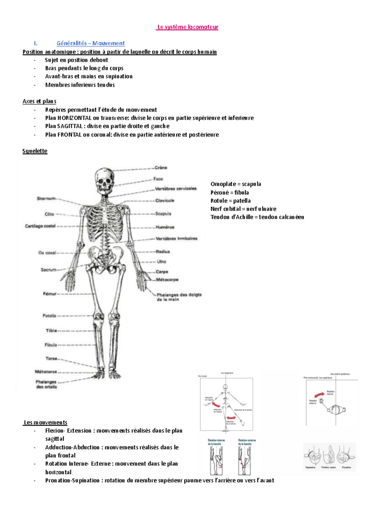 Le-système-locomoteur - Le système locomoteur I. Généralités ...