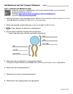 Cellular Systems Study Notes - Biology - Studocu