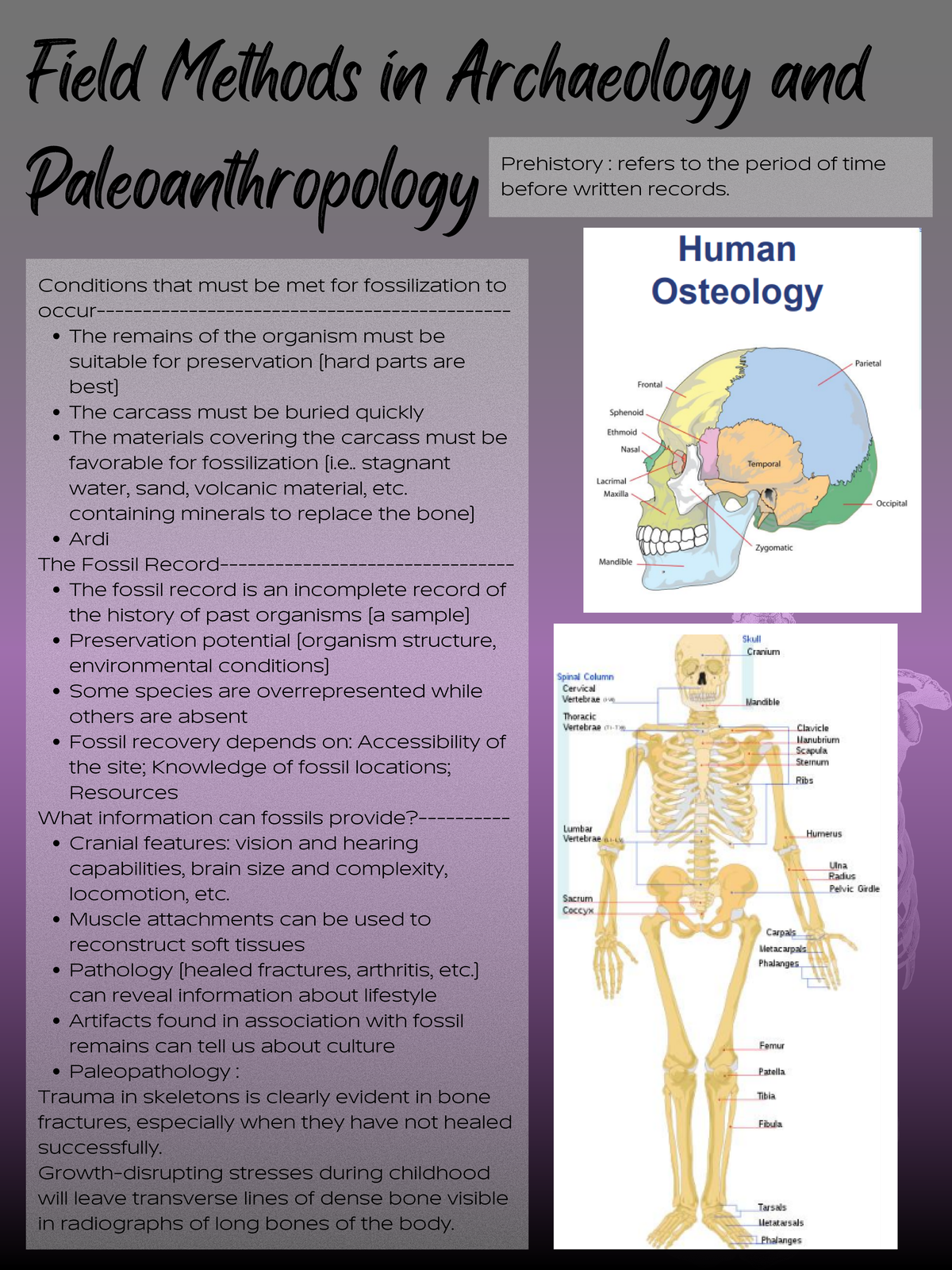 Field Methods in Archaeology and Paleoanthropology - Field Methods in ...