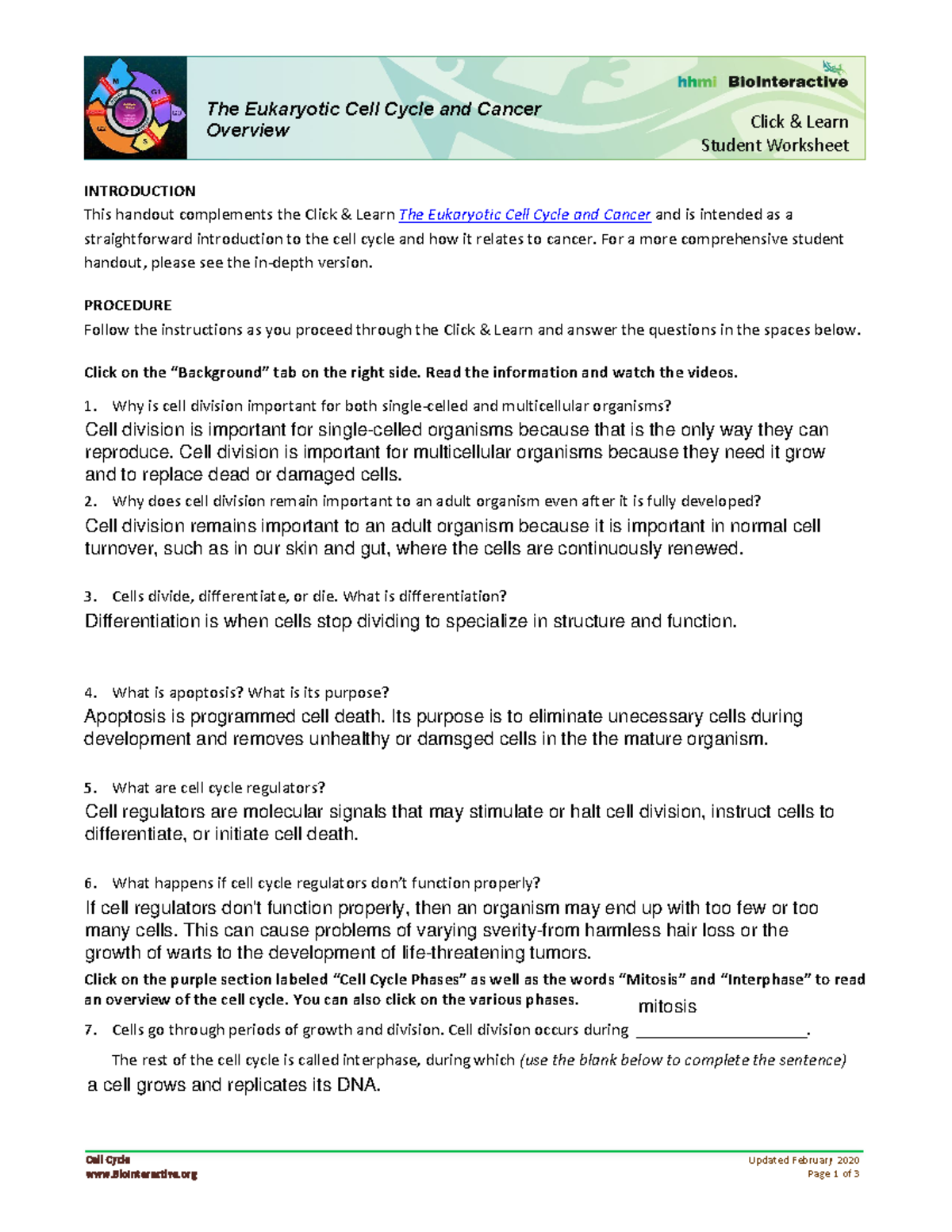 Cell cycle and cancer - This is a review for Biology I with lab and it ...