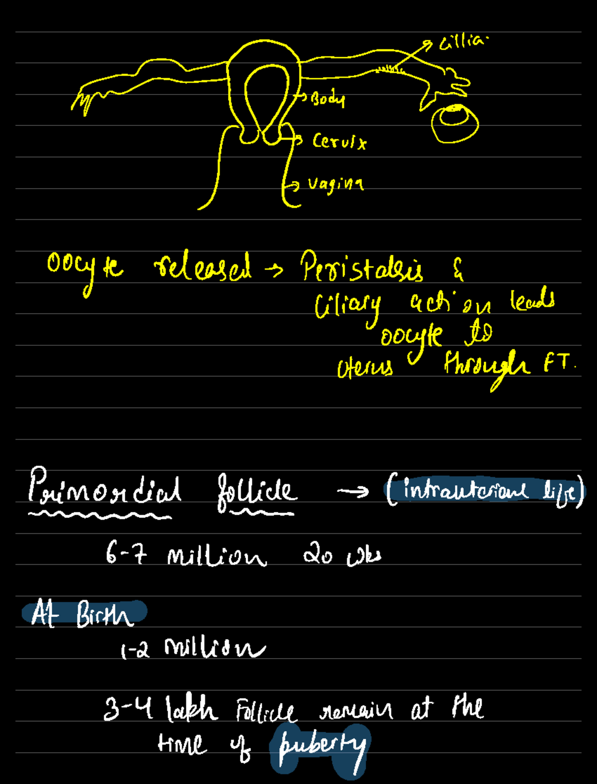 1. Basics of mensturation - t oocyte released Peristalsis a ciliary ...