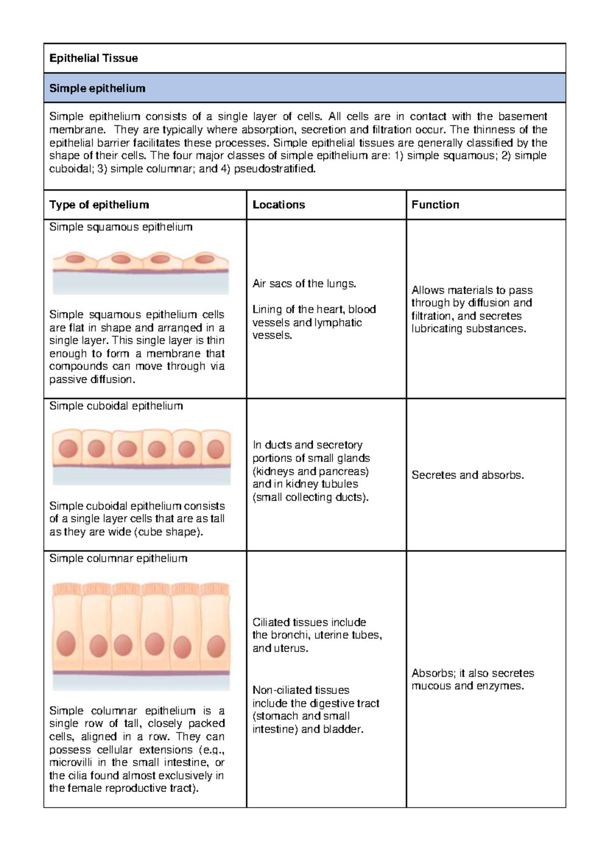 Module 10 - Epithelial Tissue summay - Epithelial Tissue Simple ...