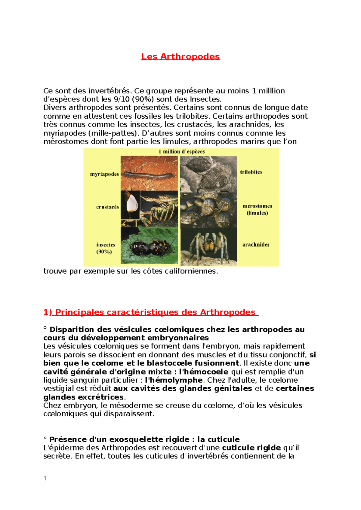 Les Arthropodes Prise de note L1 bio - Les Arthropodes Ce sont des ...