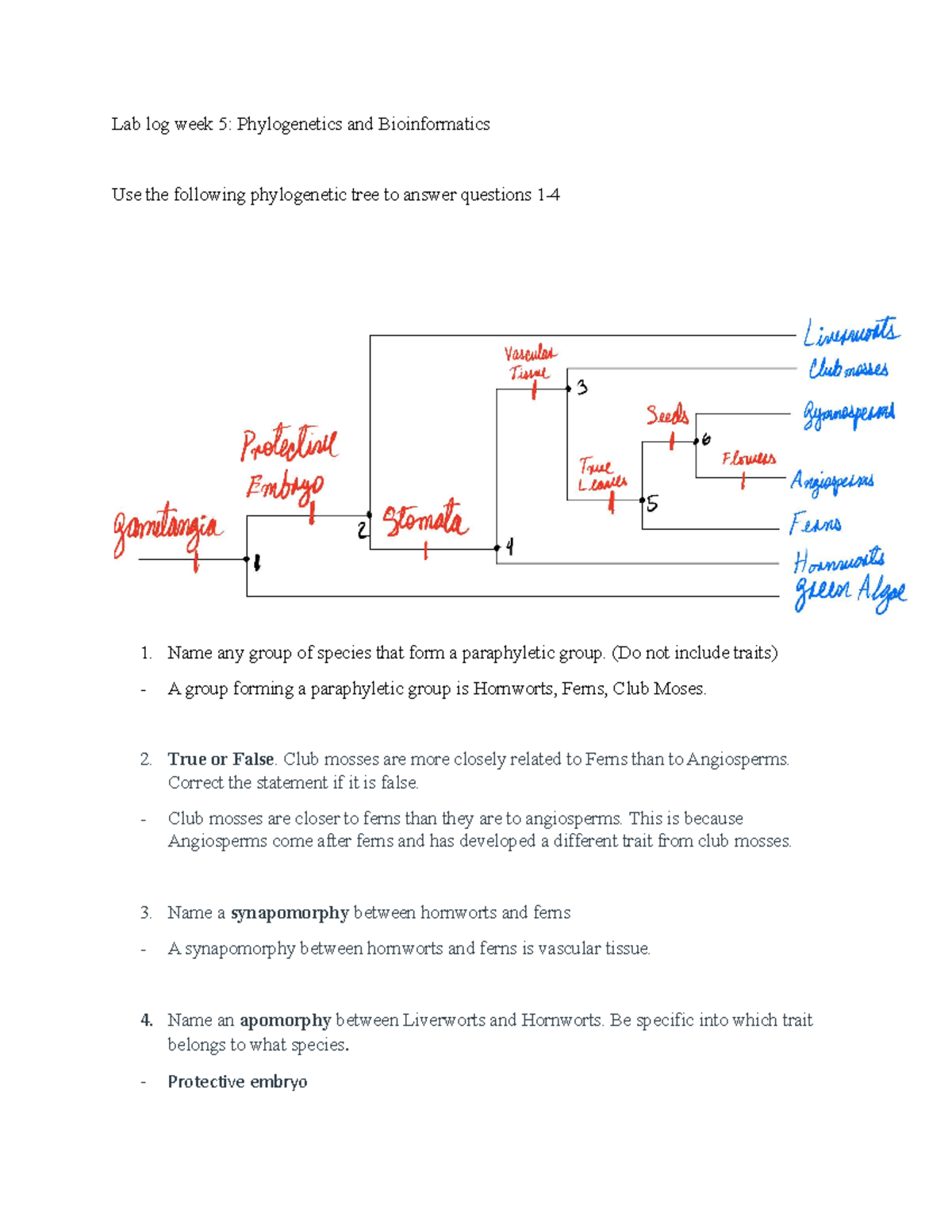 Lab Log 5 Phylogeny - Lab log week 5: Phylogenetics and Bioinformatics ...