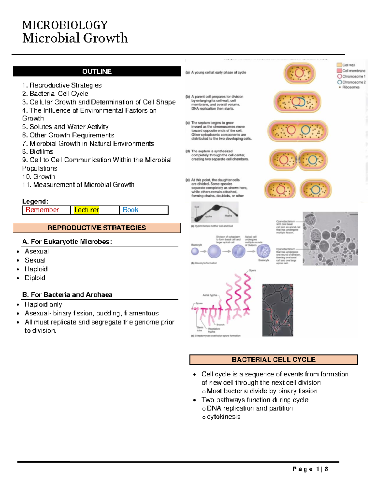 Bio425 Module 6 Microbial Growth-Notes - MICROBIOLOGY Microbial Growth ...