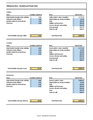 Acc 202 project workbook milestone blue tabs 1 of 2 - Milestone One ...