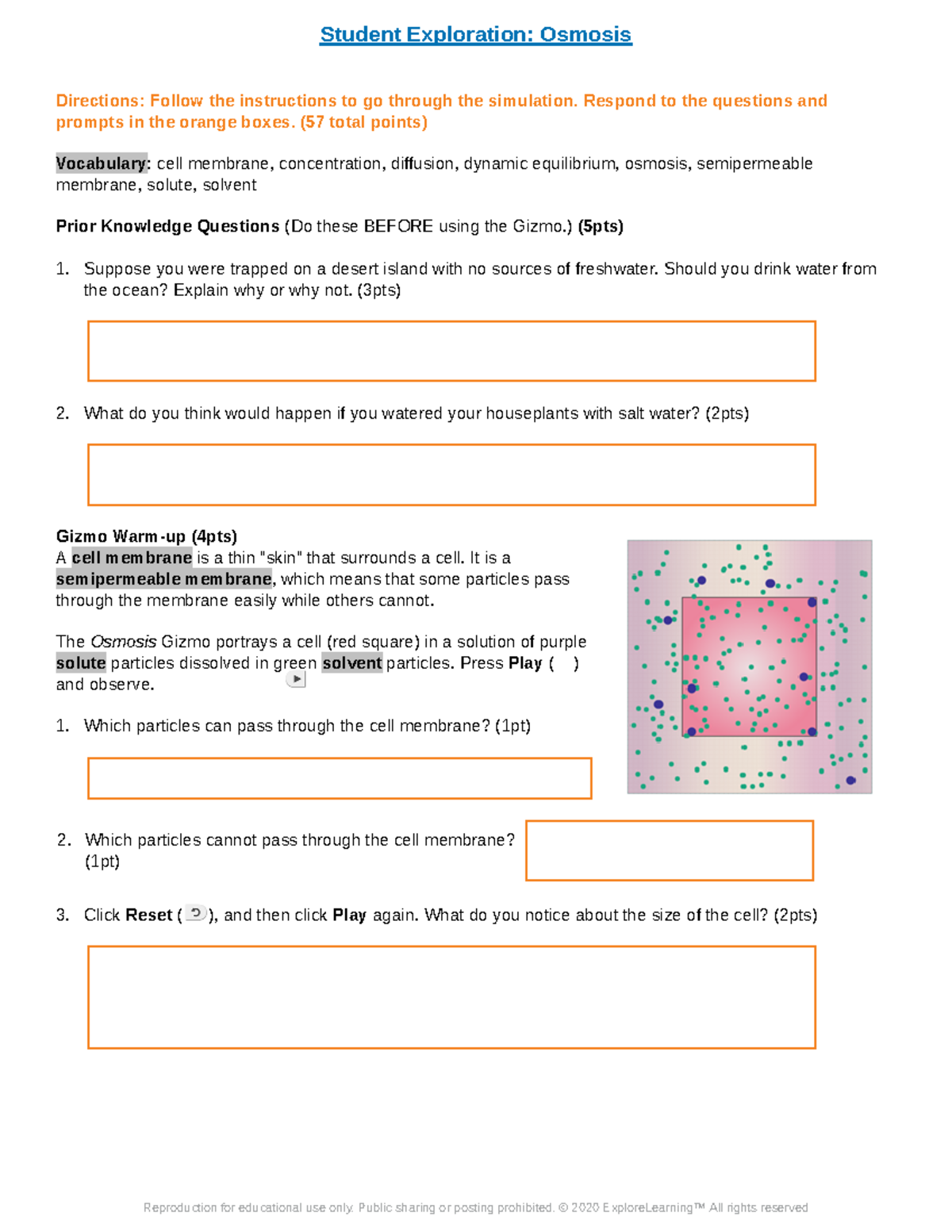Christopher Okoye - Gizmo- Osmosis - Google Docs - Student Exploration ...