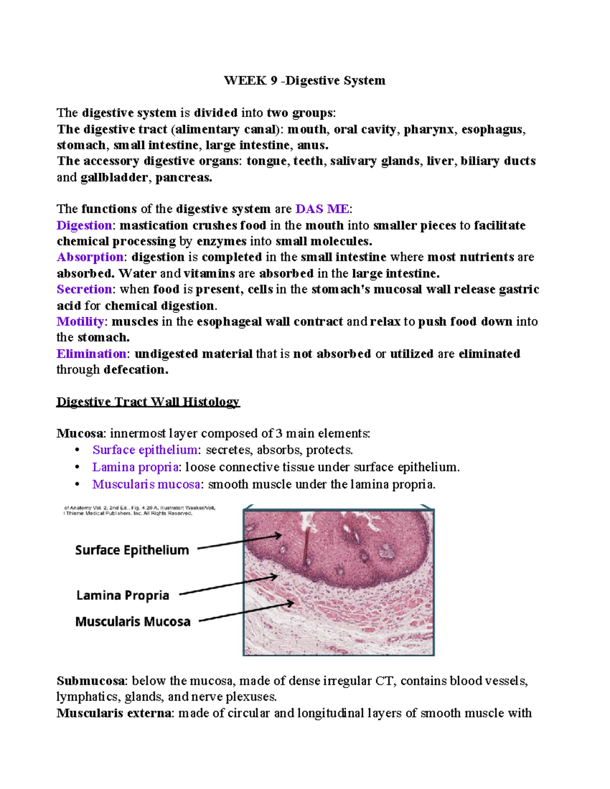 Anat100 Week10 - Module 10 - WEEK 9 -Digestive System The digestive ...