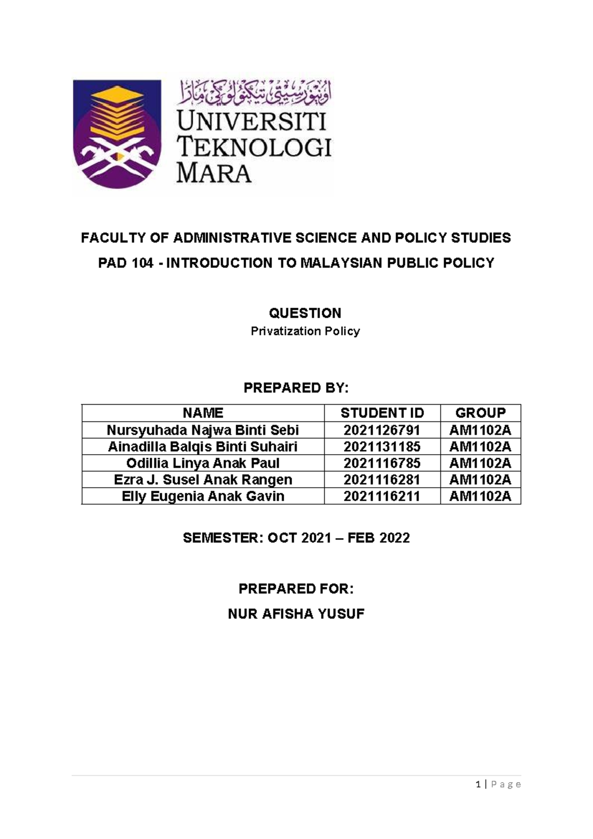 PAD104 Privatization Policy written assignment - FACULTY OF ...