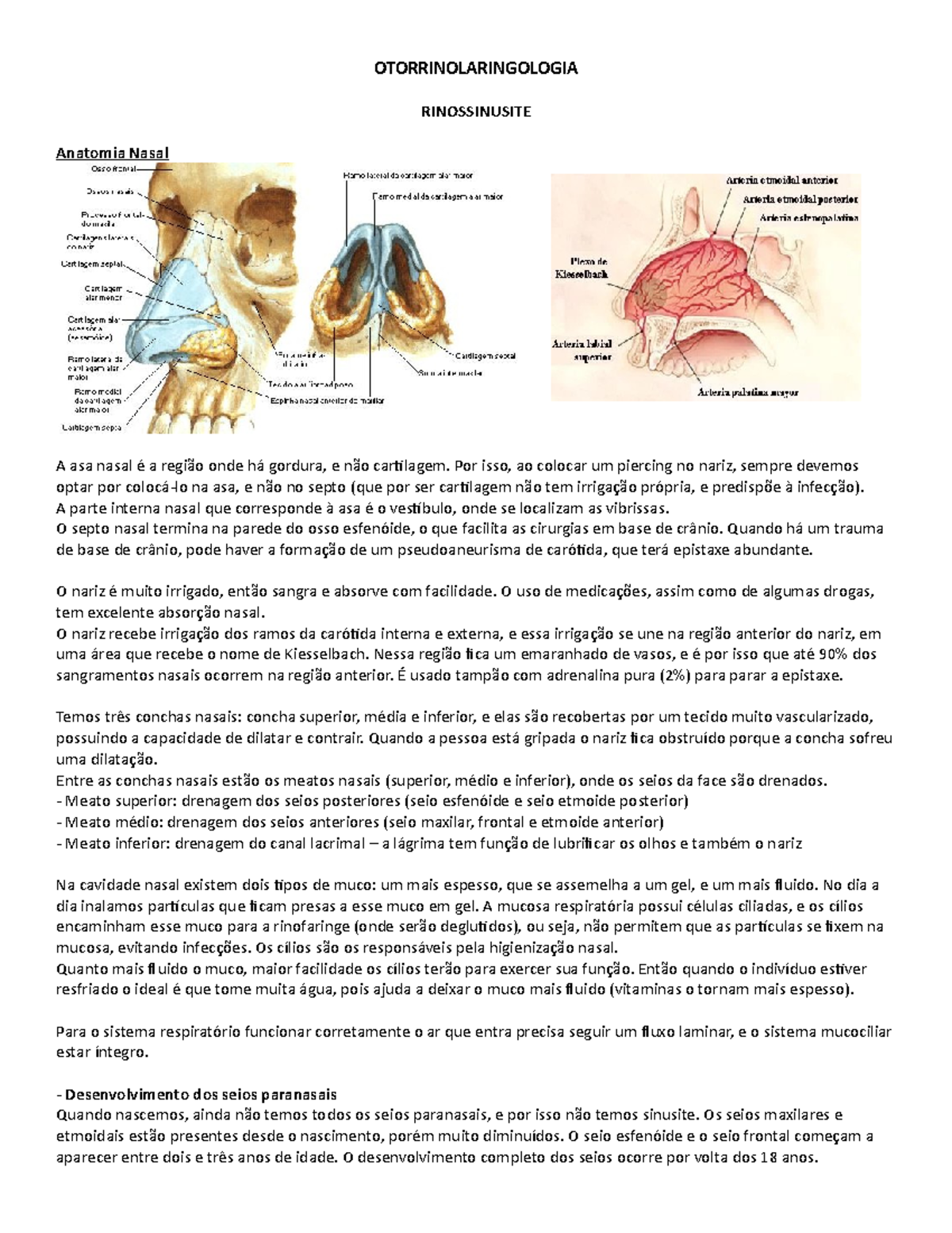 Otorrinolaringologia - OTORRINOLARINGOLOGIA RINOSSINUSITE Anatomia ...