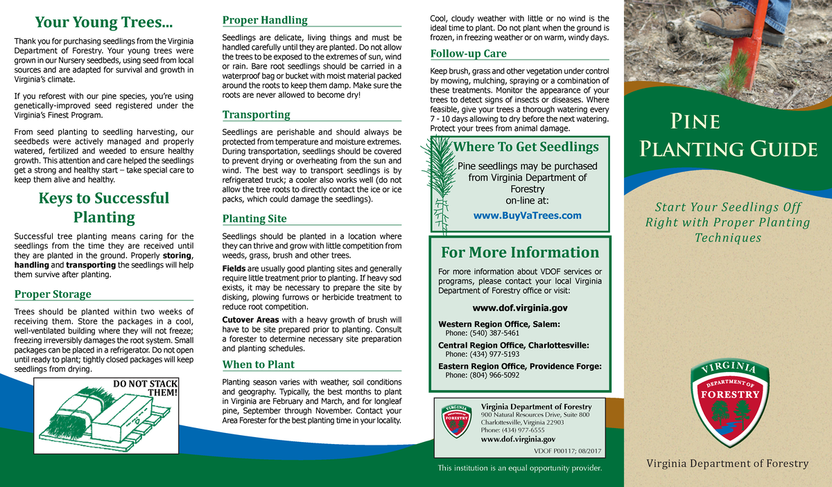 Pine-Planting-Guide pub - This institution is an equal opportunity ...