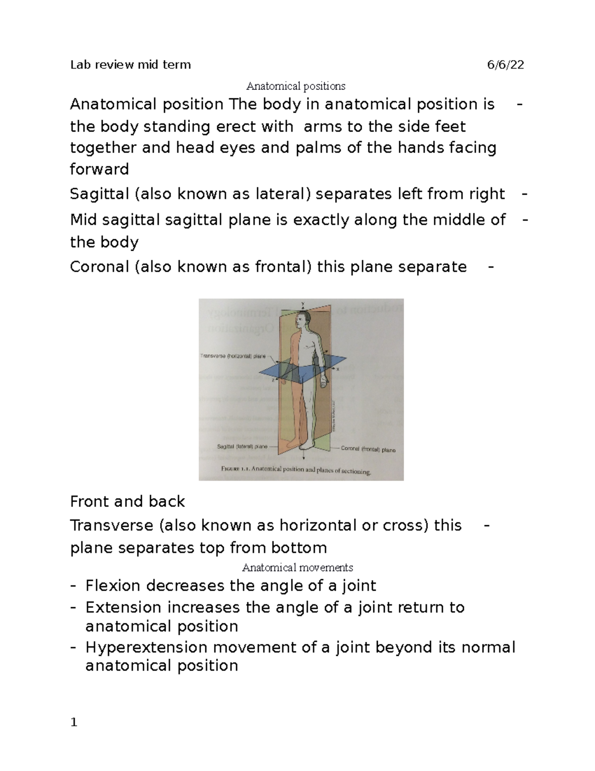 Lab midterm 6:7:22 - Test - Anatomical positions Anatomical position ...