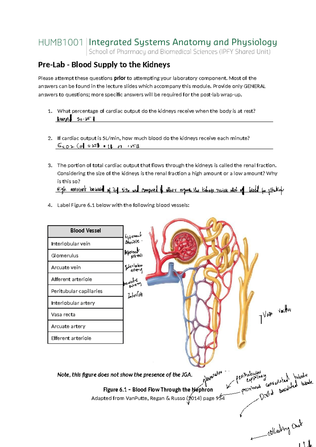 Module 6 pre lab - HUMB1001 - Curtin - Studocu