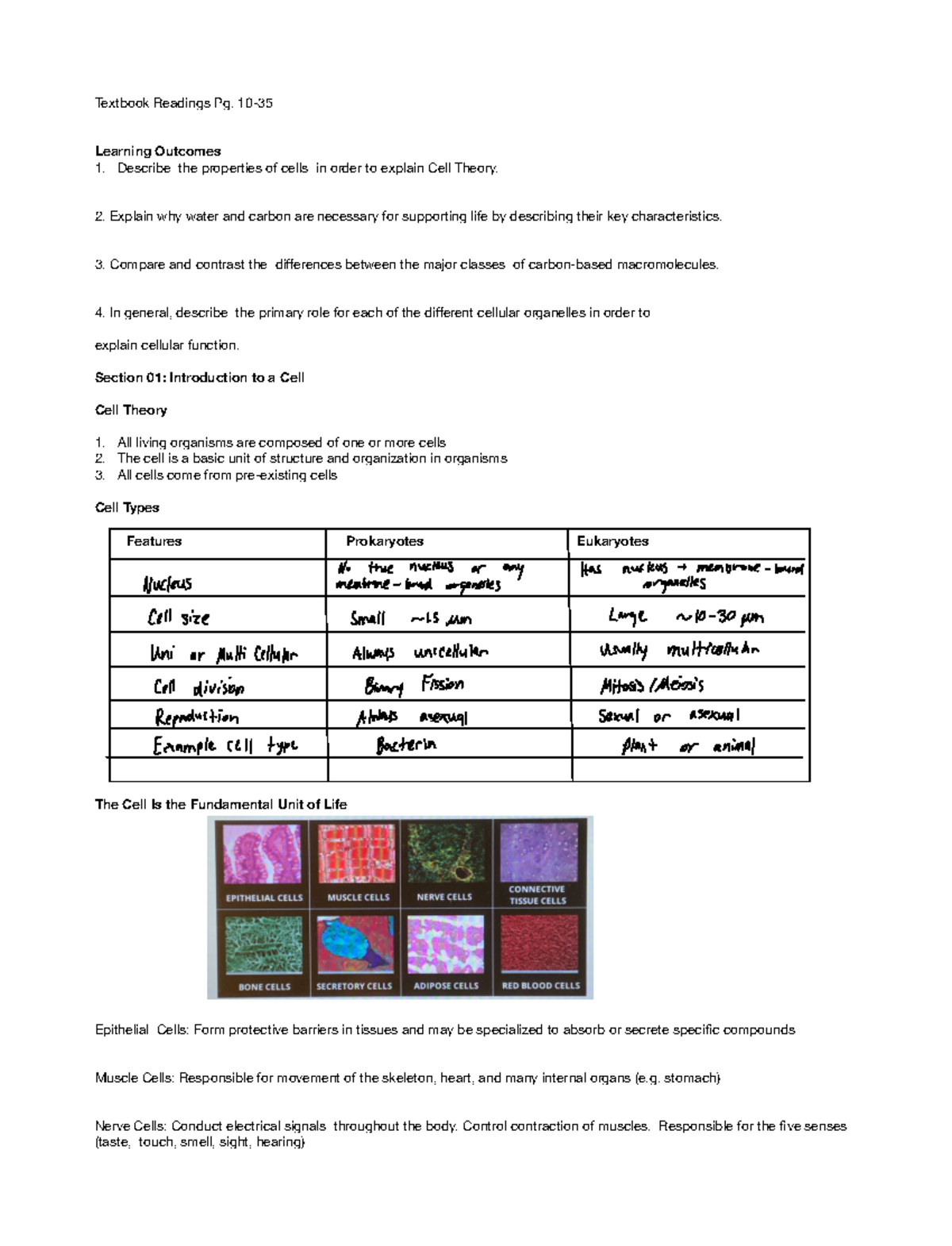 Module 1 The Cell, Review of Structure and Function - Textbook Readings ...
