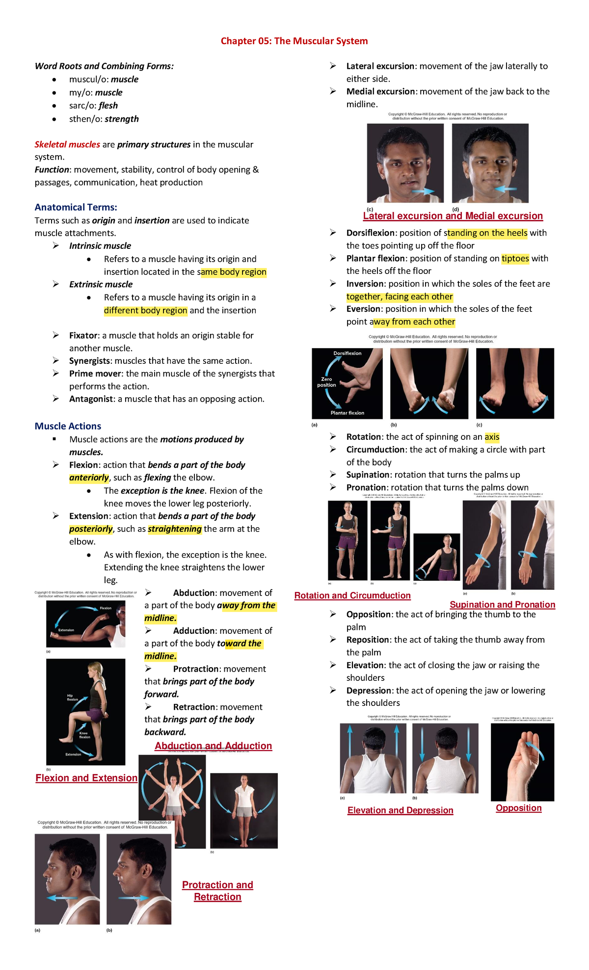 Chapter 05, The Muscular System - Word Roots and Combining Forms ...