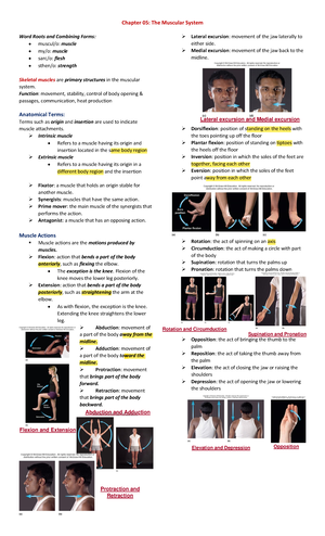 Chapter 02, Levels of Organization of the Human Body - Our bodies are ...