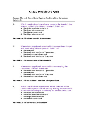 CJ 210 Module Four Assignment Template - MODULE FOUR ASSIGNMENT Module ...