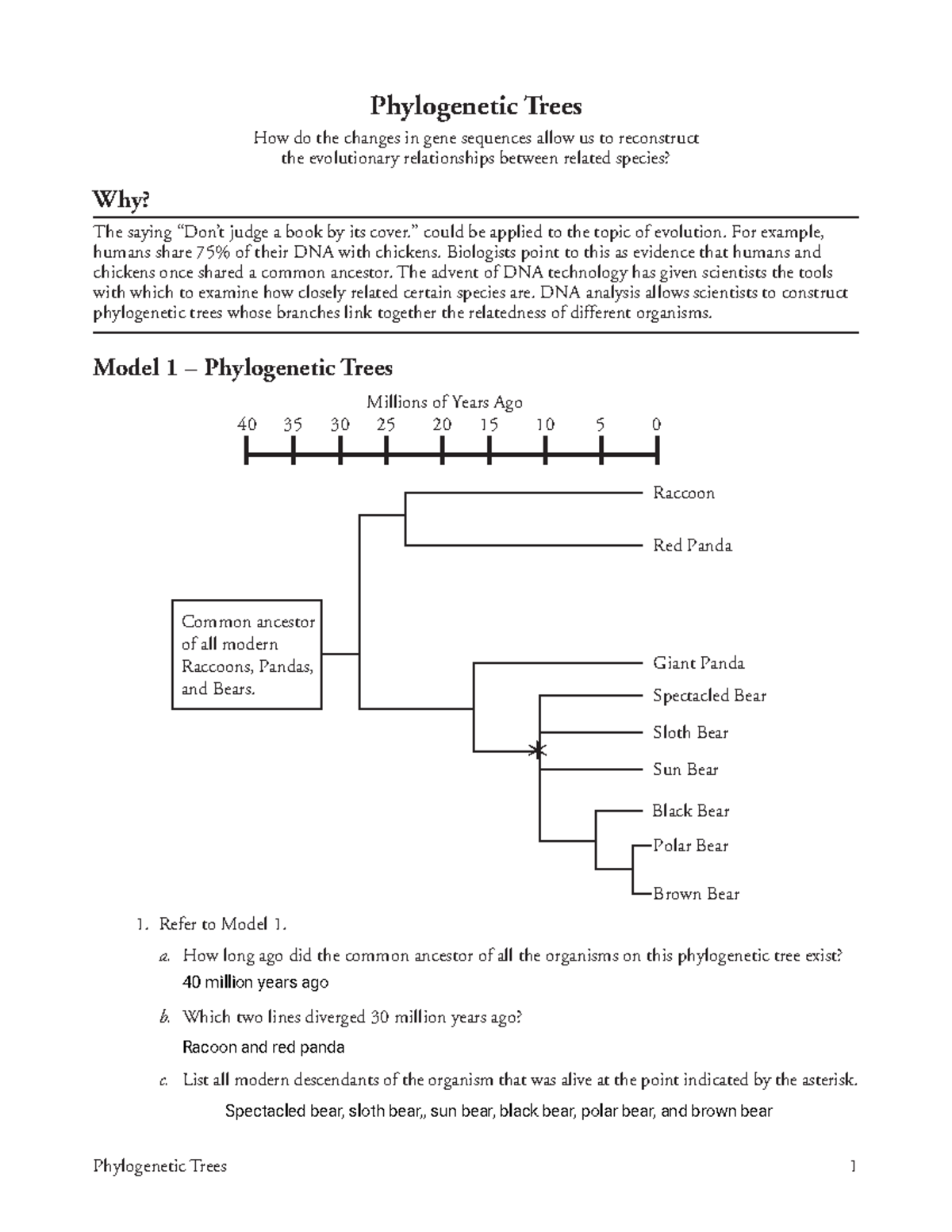 Kami Export - Phylogenetic trees Pogil - Phylogenetic Trees 1 Phylogenetic Trees How do the ...