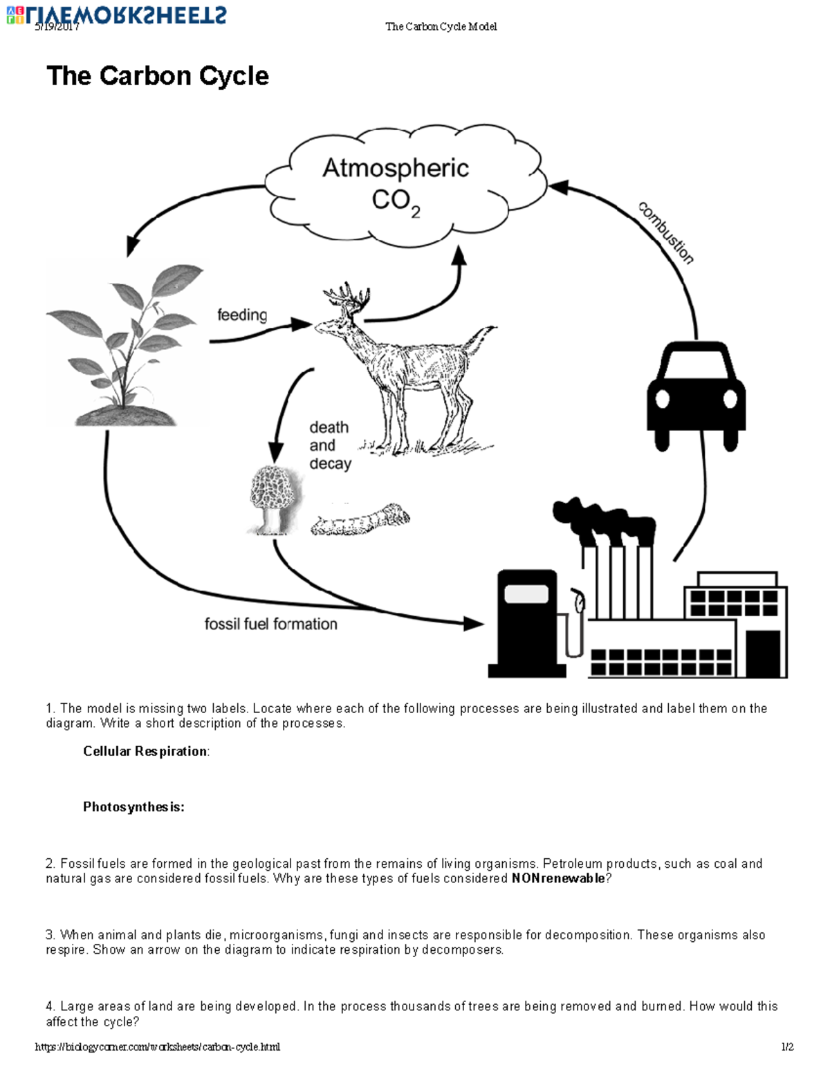 9141801518566 - n/a - 5/19/2017 The Carbon Cycle Model biologycorner ...