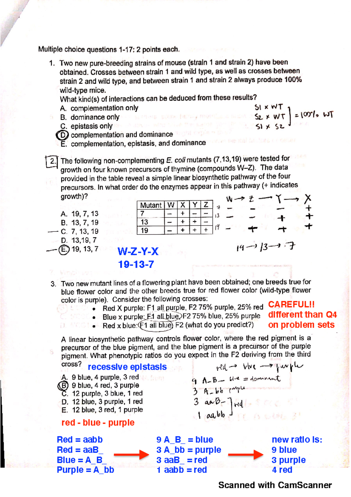 Genetics Exam3 202002 05205322 - BIO 310 - Studocu
