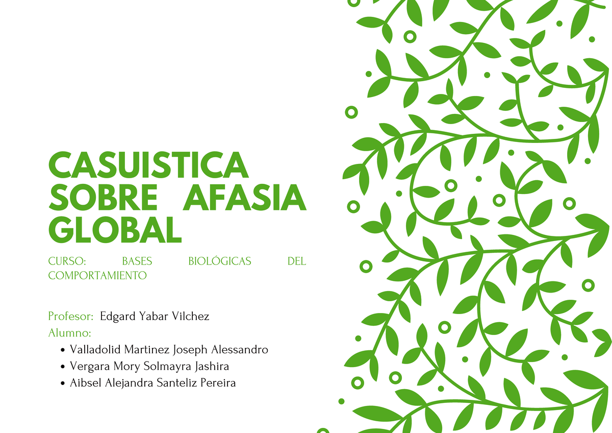 Casuistica de atencion - Valladolid Martinez Joseph Alessandro Vergara ...