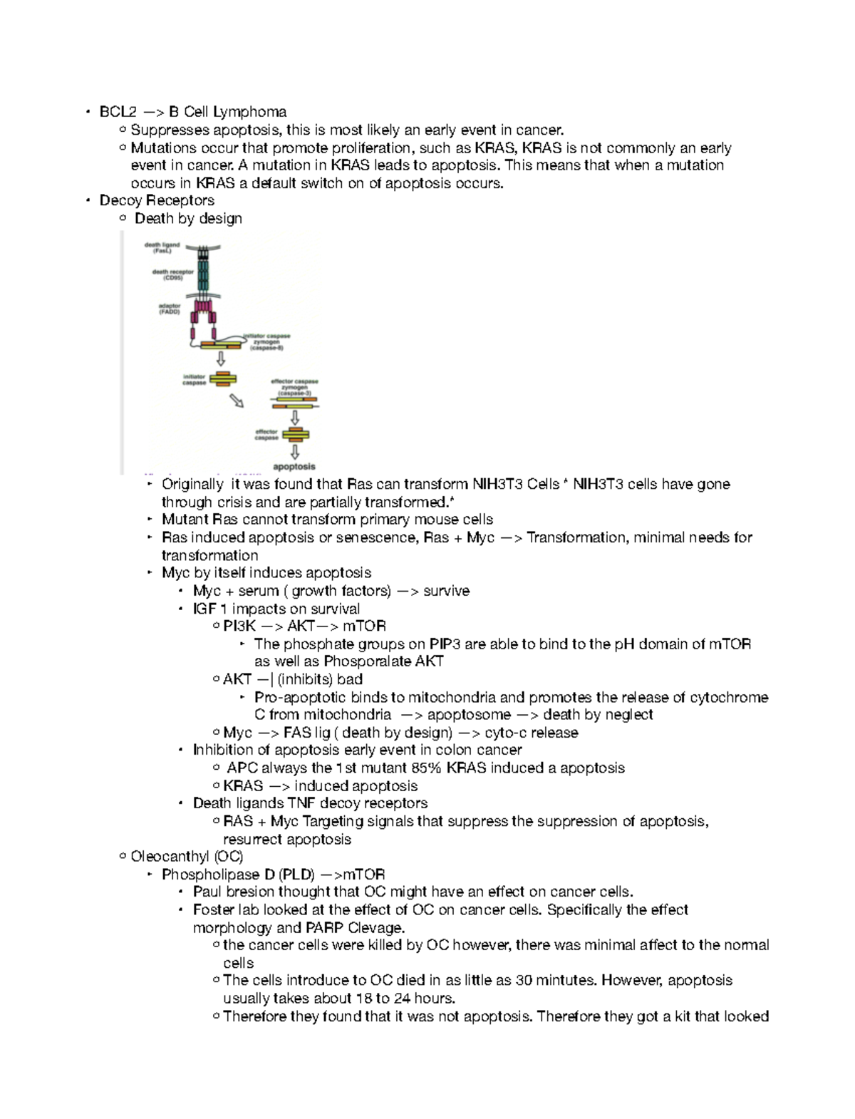 Class 11 - LEC 11 - BCL2 —> B Cell Lymphoma Suppresses apoptosis, this ...