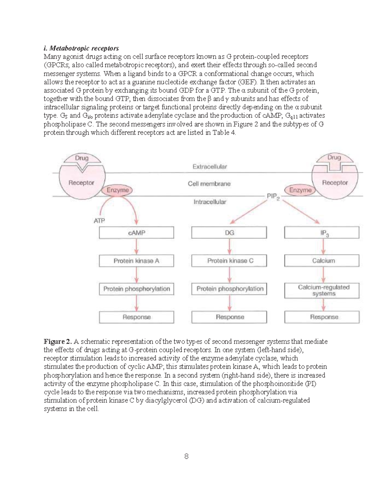 Pharmacodynamics How drugs work - 8 i. Metabotropic receptors Many ...