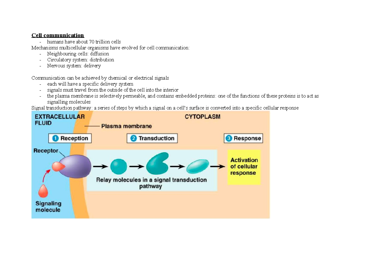 6. Cell communication - summary - Cell communication - humans have ...