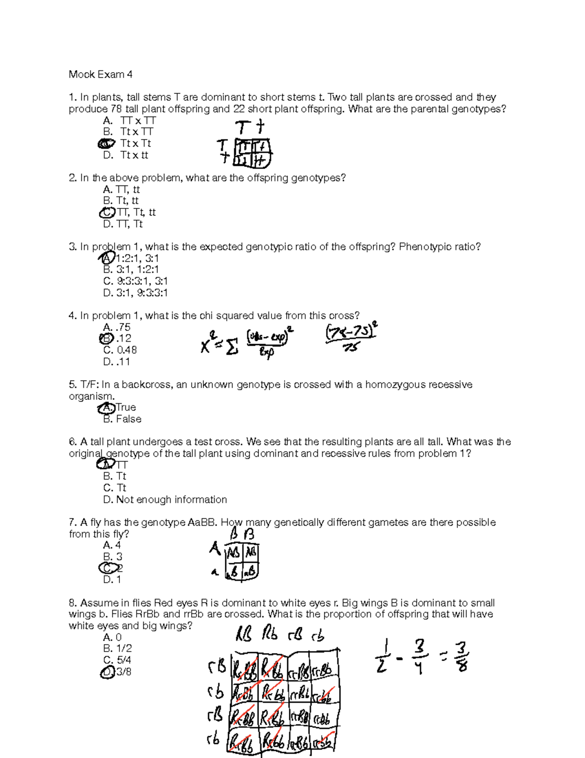 Mock Exam 4 - Exam 4 mock exam - Mock Exam 4 In plants, tall stems T ...