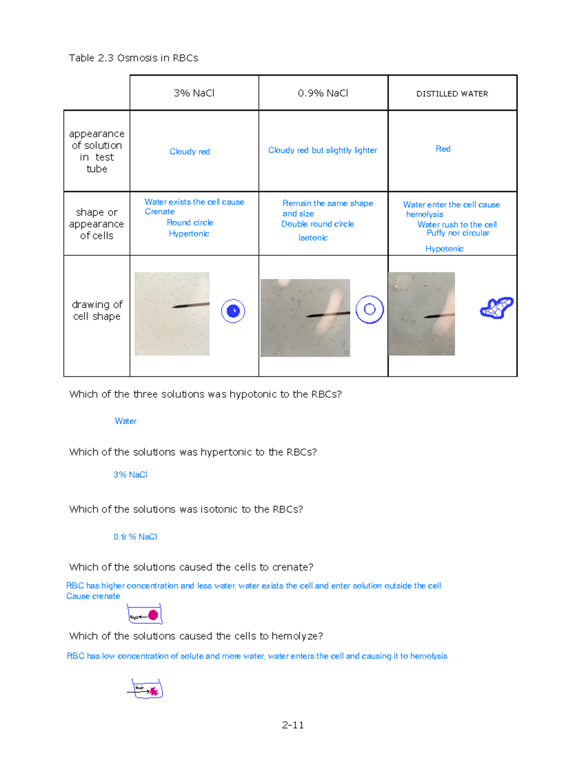 LAB 2 - Osmosis Diffusion 2 - 2- Table 2 Osmosis in RBCs 3% NaCl 0% ...