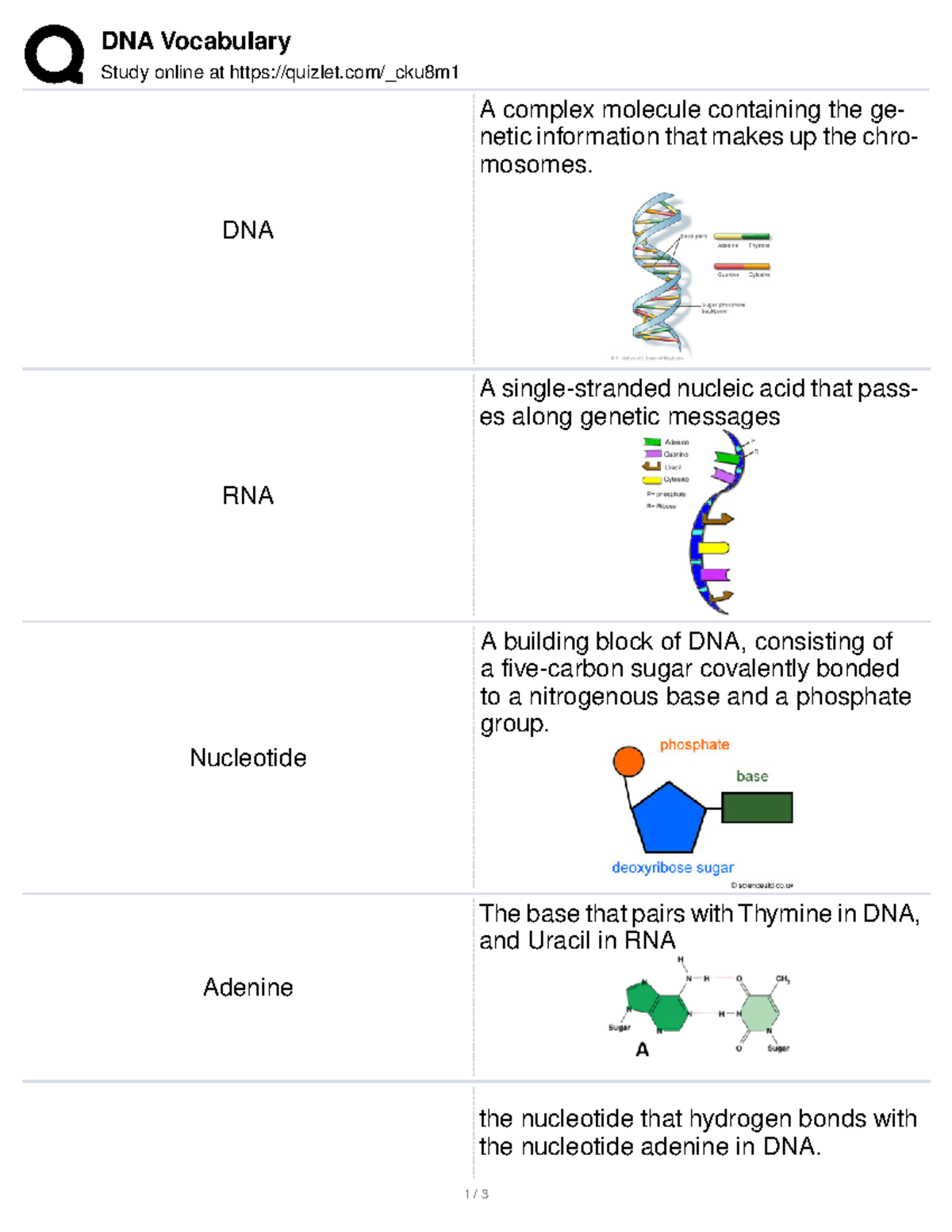 DNA Vocabulary - dna vocab - DNA Vocabulary Study online at quizlet ...