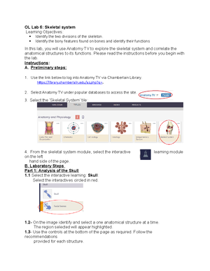 Final LABS BIOS251 Online Labs Week 6 Skeletal system Lab - OL Lab 6: Skeletal system Learning ...