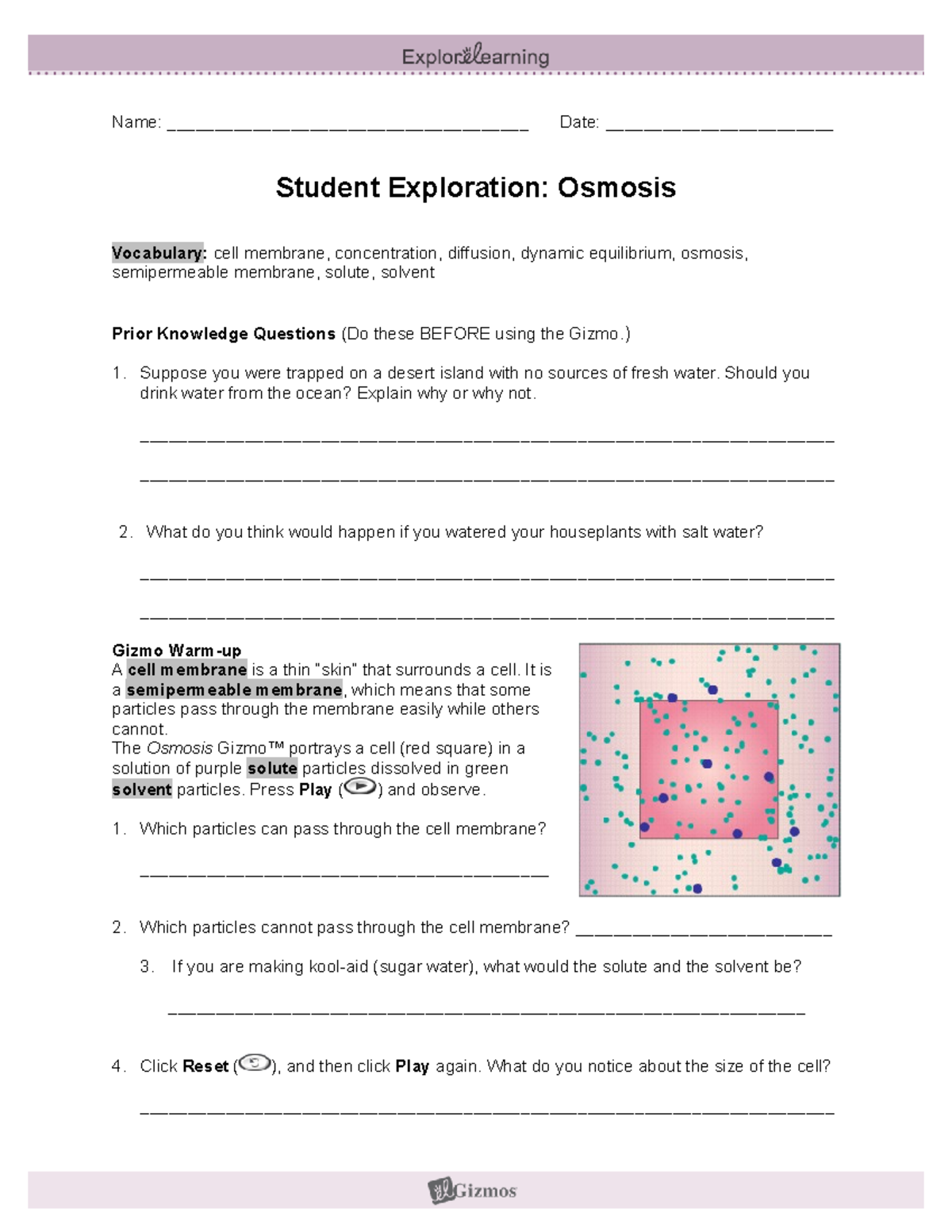 Osmosis Gizmos - Name: ______________________________________ Date