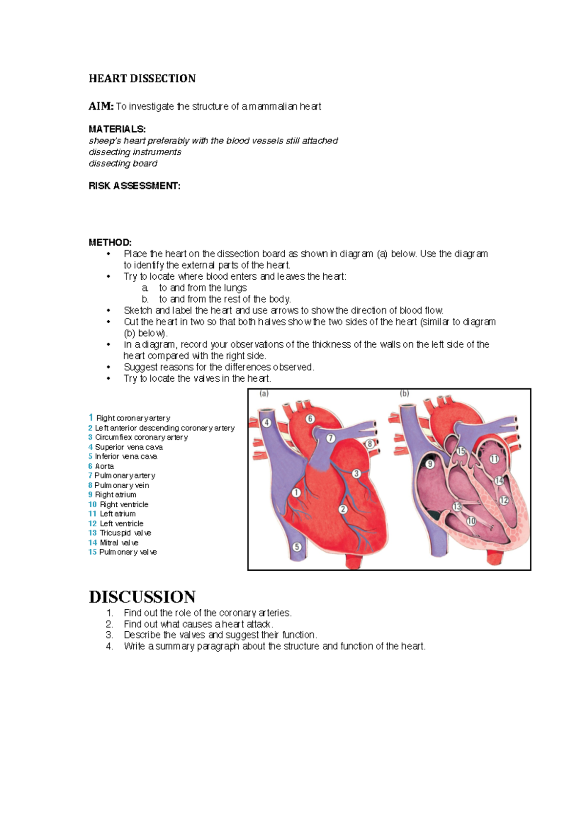 Heart dissection - HEART DISSECTION AIM: To investigate the structure ...