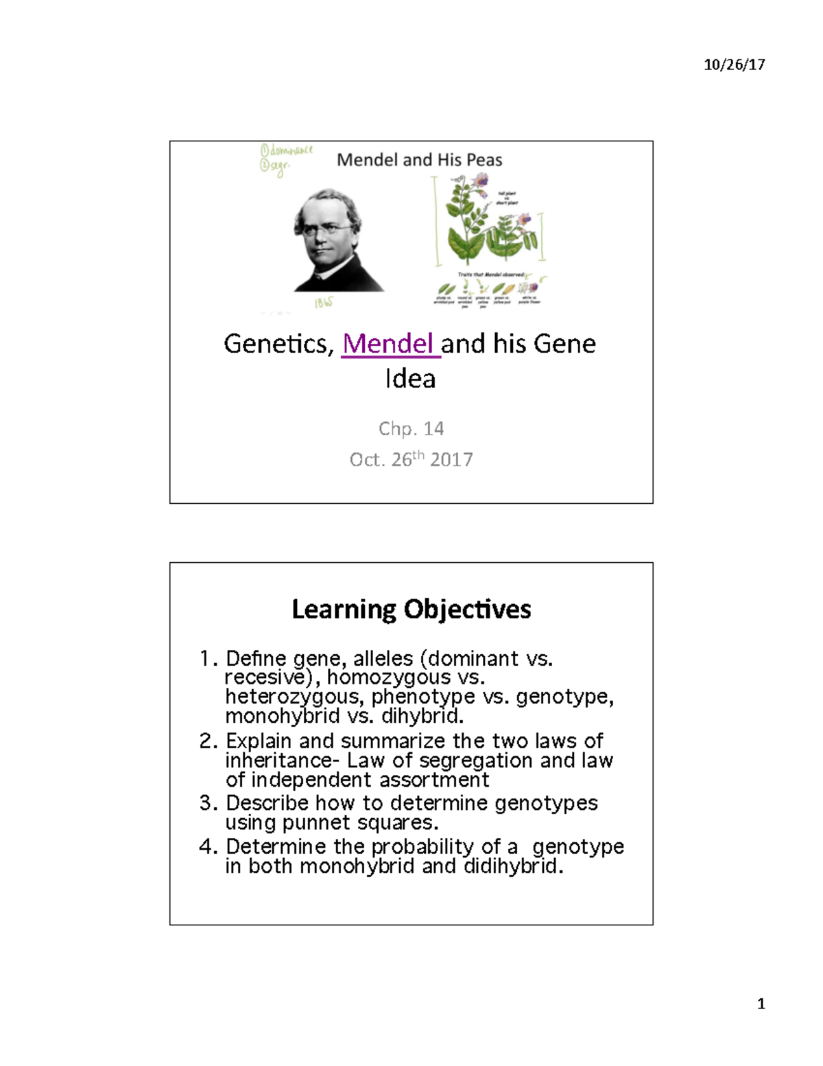 Lecture 15- ch 14 Genetics and Mendel - Gene+cs, Mendel and his Gene ...