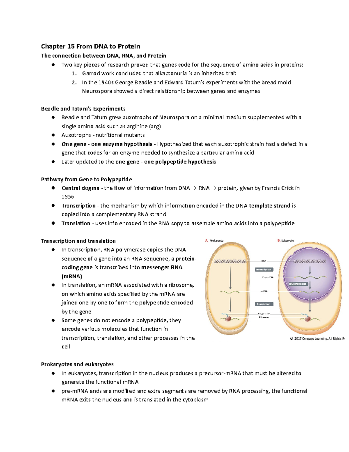 Bio 1107 exam 4 content notes - Chapter 15 From DNA to Protein The ...