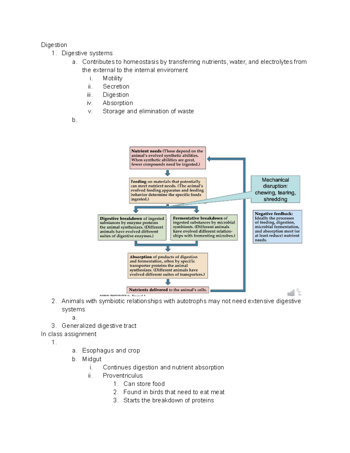 Animal Physiology Lecture 6Digestion - Digestion 1. Digestive systems a ...