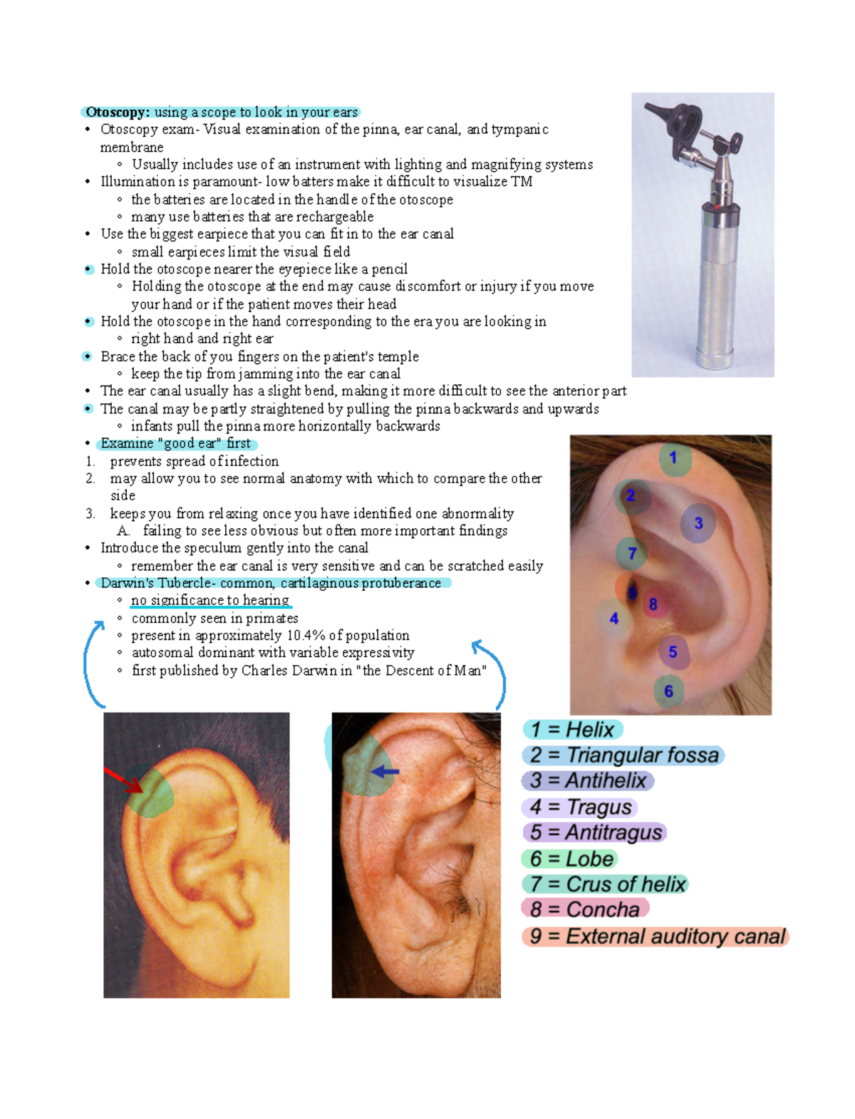 Normal Otoscopy - lecture notes - Otoscopy: using a scope to look in ...