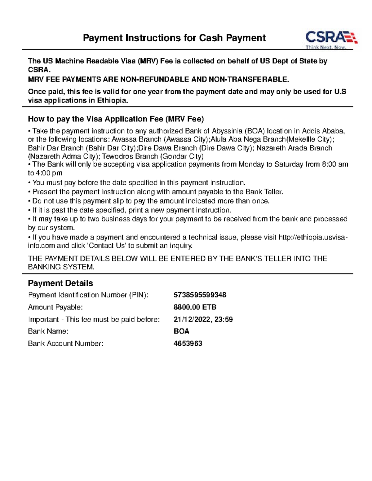 Paymeffffnt Instructions Payment Instructions For Cash Payment The US paymeffffnt-instructions-payment-instructions-for-cash-payment-the-us
