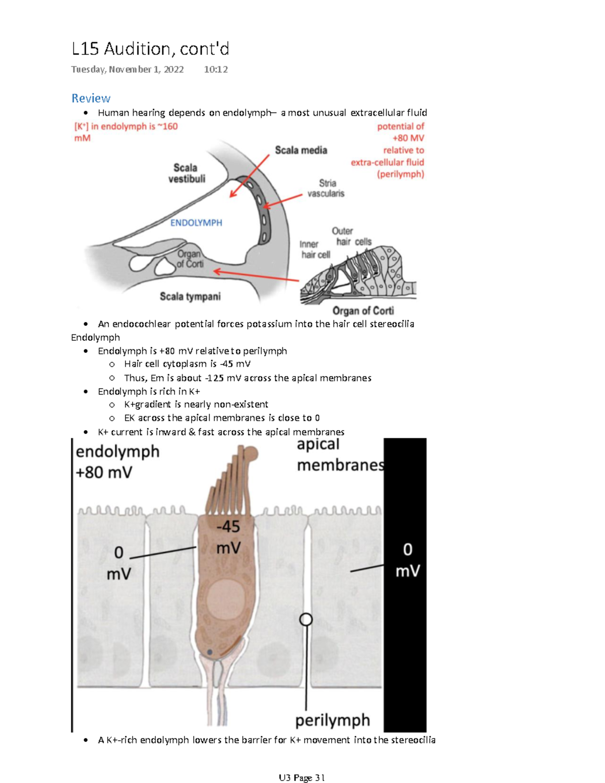 Lecture 15 Hearing, continued - Review Human hearing depends on ...