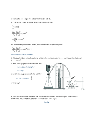 Rotational Inertia Report - Physics I Laboratory Faculty of Science ...