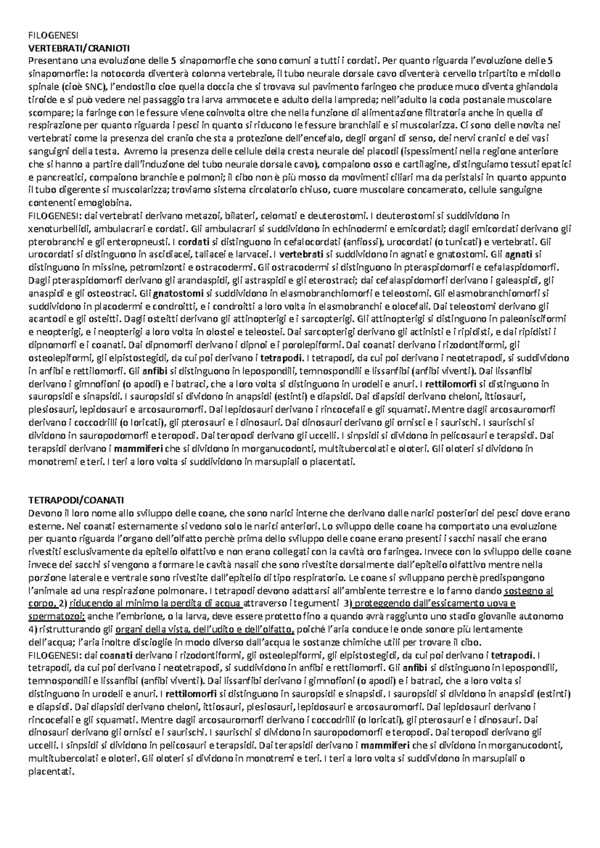 parte filogenesi completa preparazione esame - FILOGENESI VERTEBRATI ...