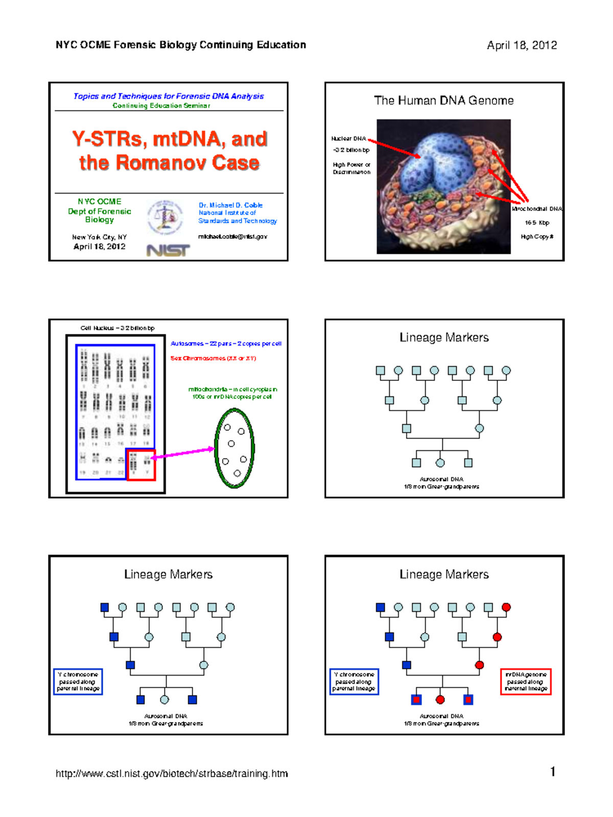 4-Lineage Markers - STR analysis - Y-STRs, mtDNA, and the Romanov Case ...