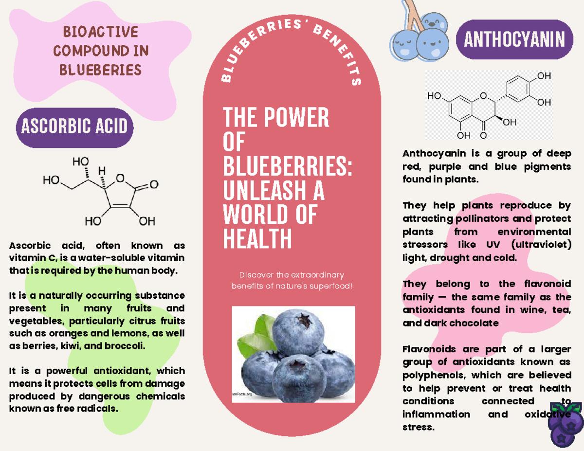 Assignment 2 Group 2 - Functional Food - Studocu