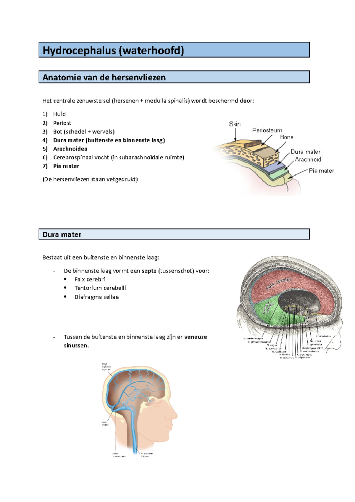 Neurokine Hydrocephalus - Hydrocephalus (waterhoofd) Anatomie van de ...