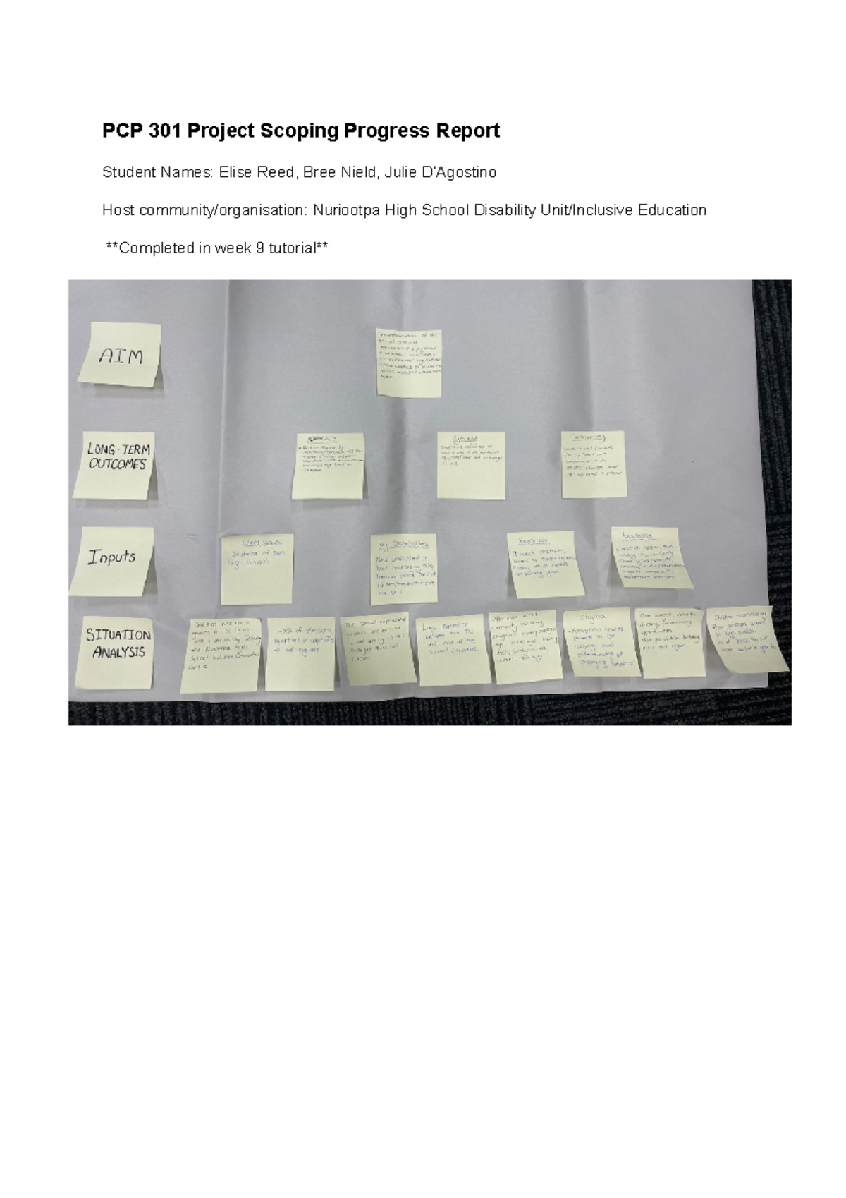 10. Project Scoping Progress Report Week 10 - PCP 301 Project Scoping ...
