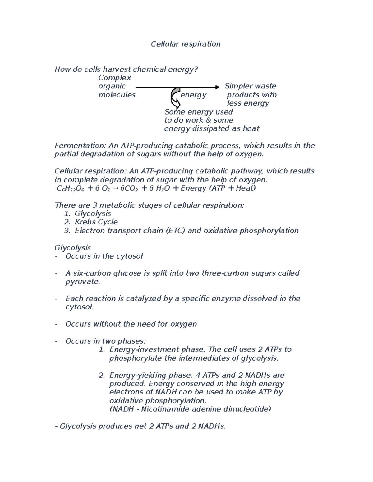 How cell functions - cells and their roles in the body - Cellular ...