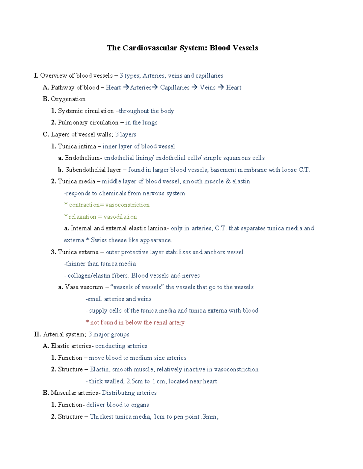 Chapter 21 - The Cardiovascular System: Blood Vessels Notes - The ...