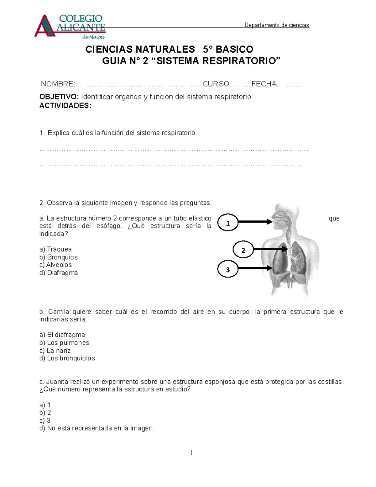 GUIA 2 Sistema Respiratorio - CIENCIAS NATURALES 5° BASICO GUIA N° 2 ...